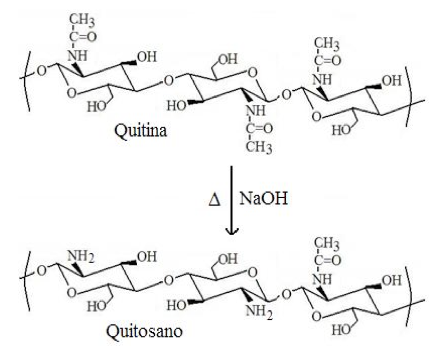 Nuevos retos en agricultura para los biopolímeros de quitina y ...